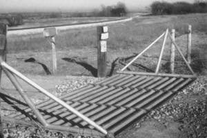 Cattle Guard Dogs – Angora Chronicles