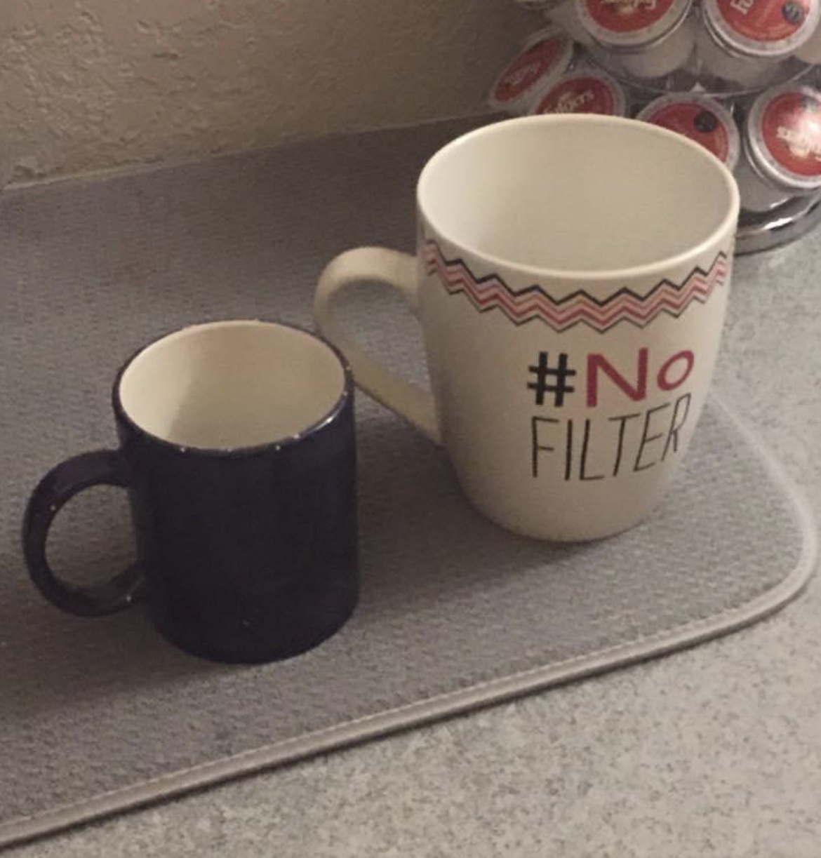 Speaking Of Having No Filter – Angora Chronicles