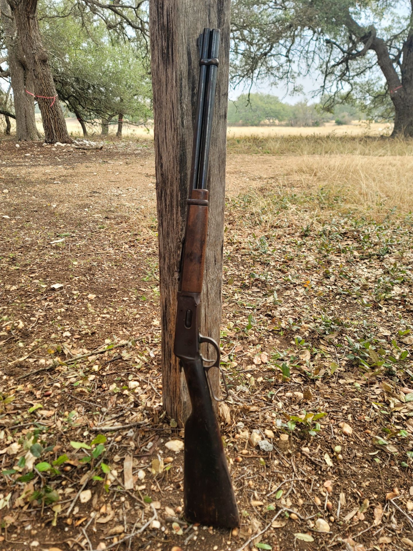 The Smithwick Battle Royale – Angora Chronicles