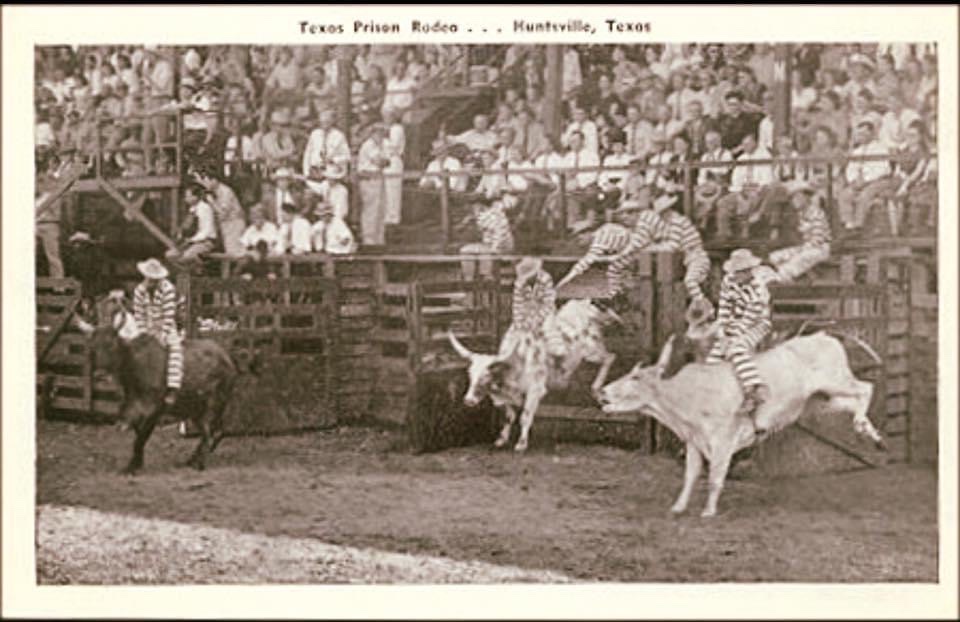 The Texas Prison Rodeo – Angora Chronicles