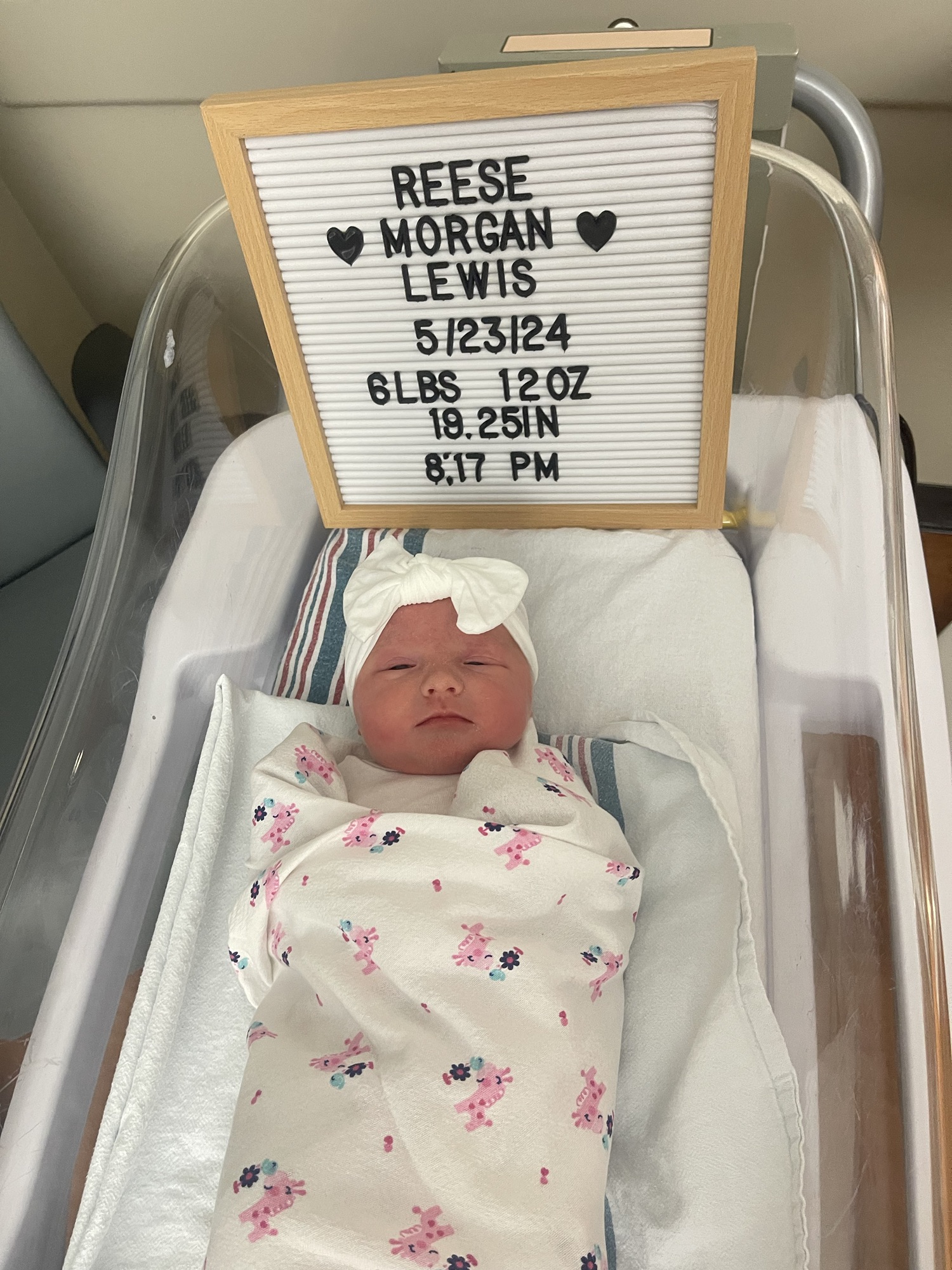 A Story of New Life, of Love and Happiness – The Welcoming of Our First ...