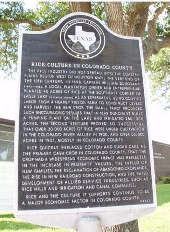 Rice Culture in Colorado County – Angora Chronicles