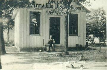 Apelt Armadillo Farm – Angora Chronicles